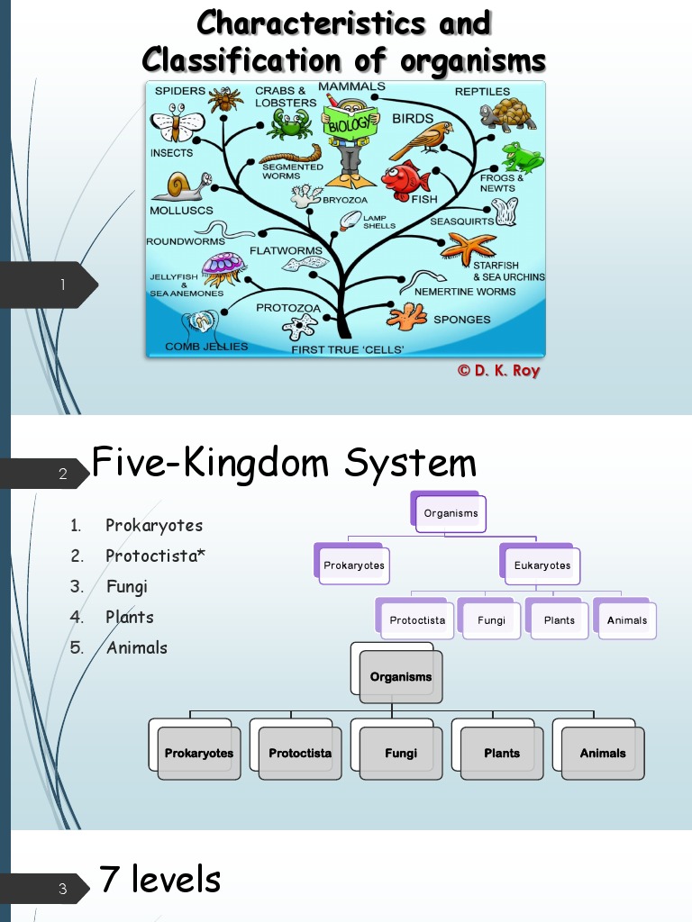 Classification of Organisms | PDF | Cell (Biology) | Leaf