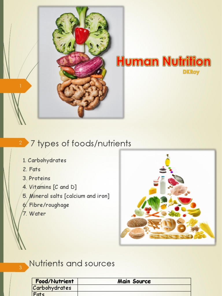 9 Human Nutrition Pdf Digestion Small Intestine