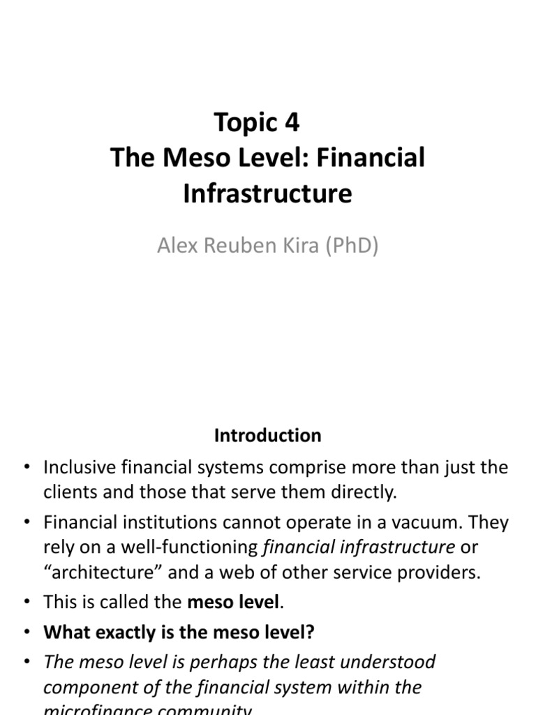 Topic 4 - The Meso Level - Financial Infrastructure | PDF ...