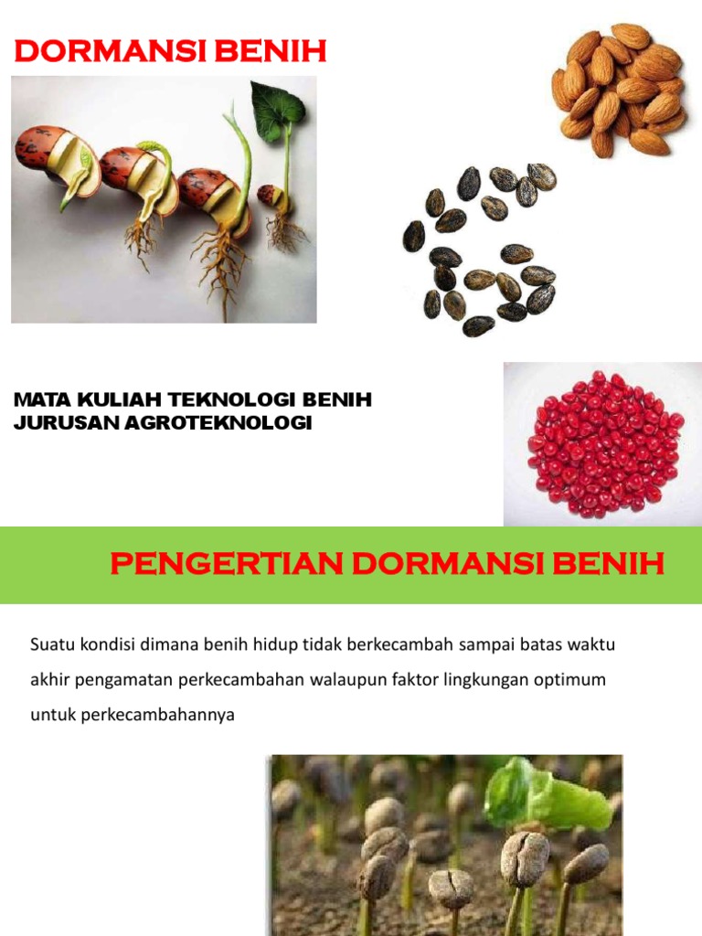Dormansi Benih 2020 | PDF