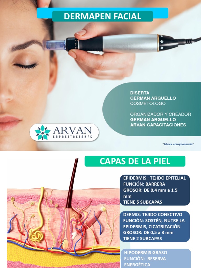 Dermapen Descargable | PDF | Epidermis | La matriz extracelular
