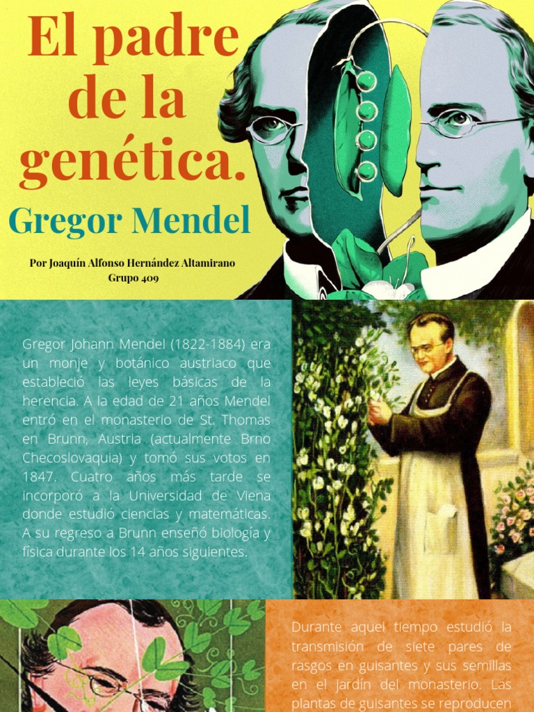 Las Leyes de Mendel | PDF