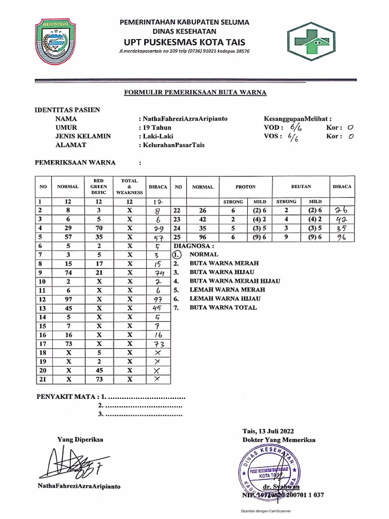 Formulir Pemeriksaan Buta Warna | PDF