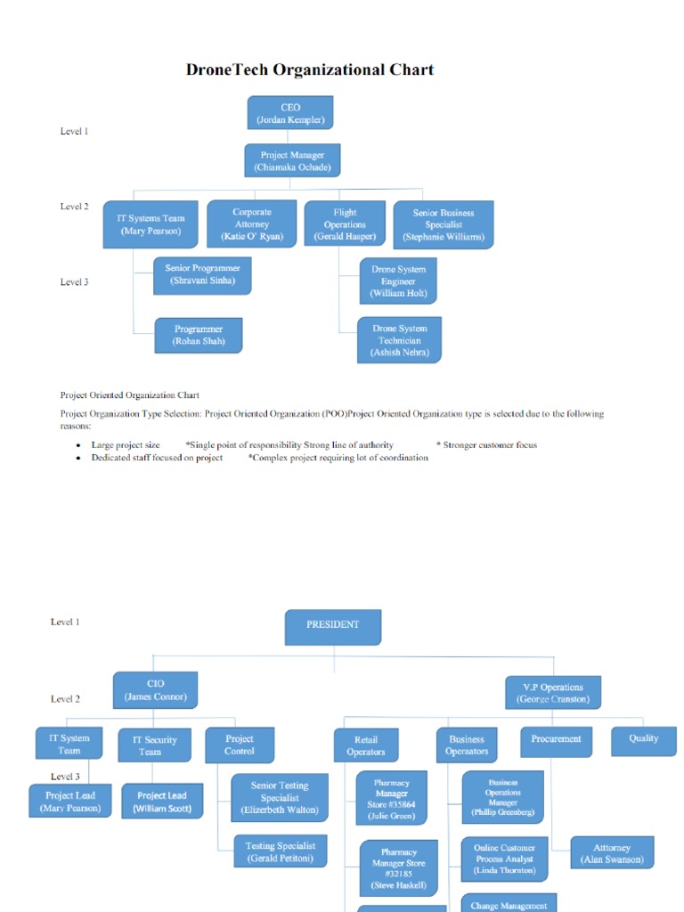 organization chart | PDF