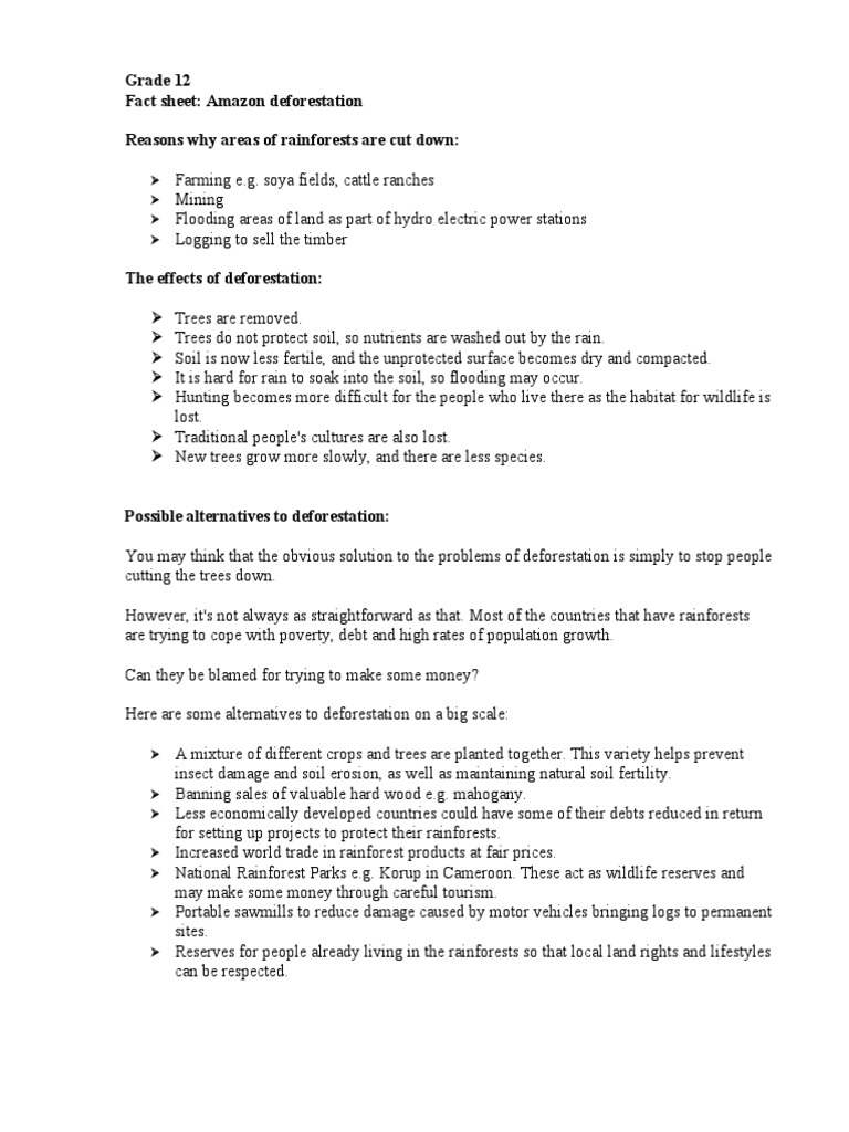 Amazon Deforestation Facts & Solutions | PDF | Deforestation | Rainforest