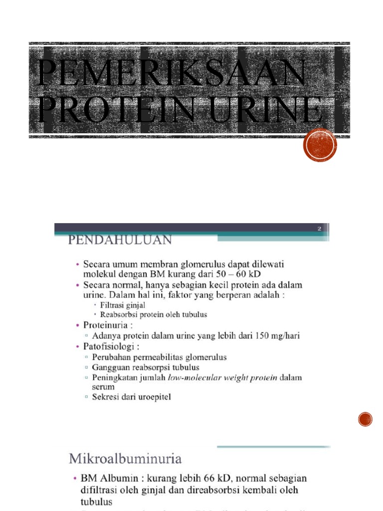 Pemeriksaan Protein Urine Biokimia Blok Nefrourologi | PDF | Sains ...