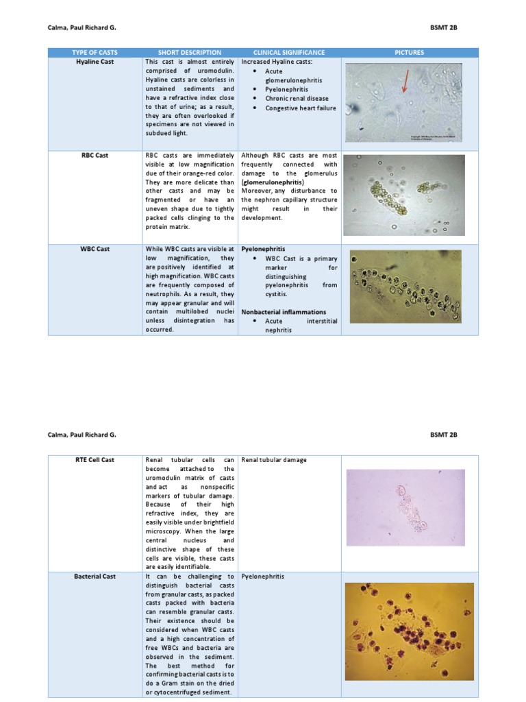Types of Urinary Casts Explained | PDF | Medical Specialties | Abdomen