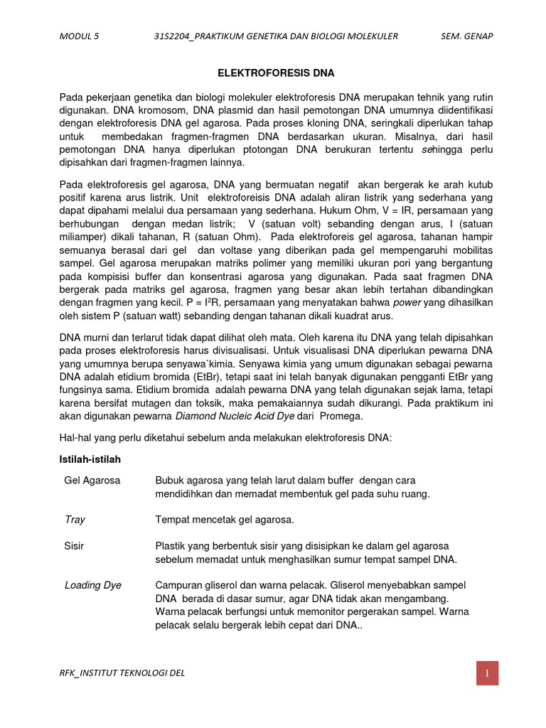 Modul 5 - Elektroforesis Dna | PDF | Kesehatan Holistik | Teknologi & Rekayasa