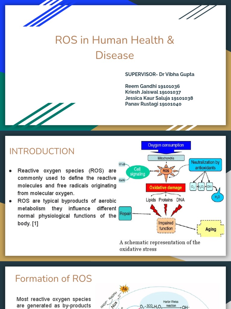 ROS Impact on Hepatic Injury & Resveratrol | PDF | Reactive Oxygen ...