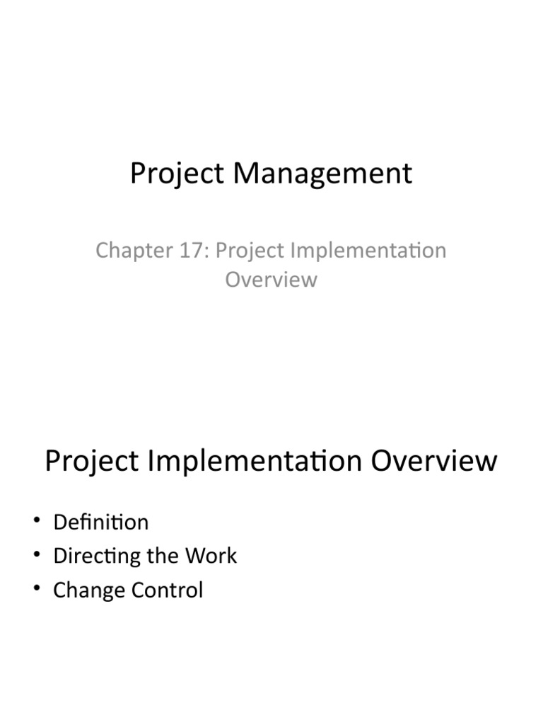 17 Project Implementation | PDF