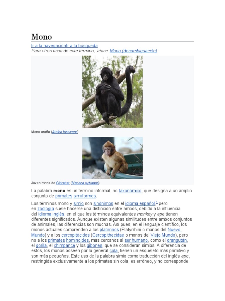 Mono | PDF | Mono | Taxonomía de mamíferos