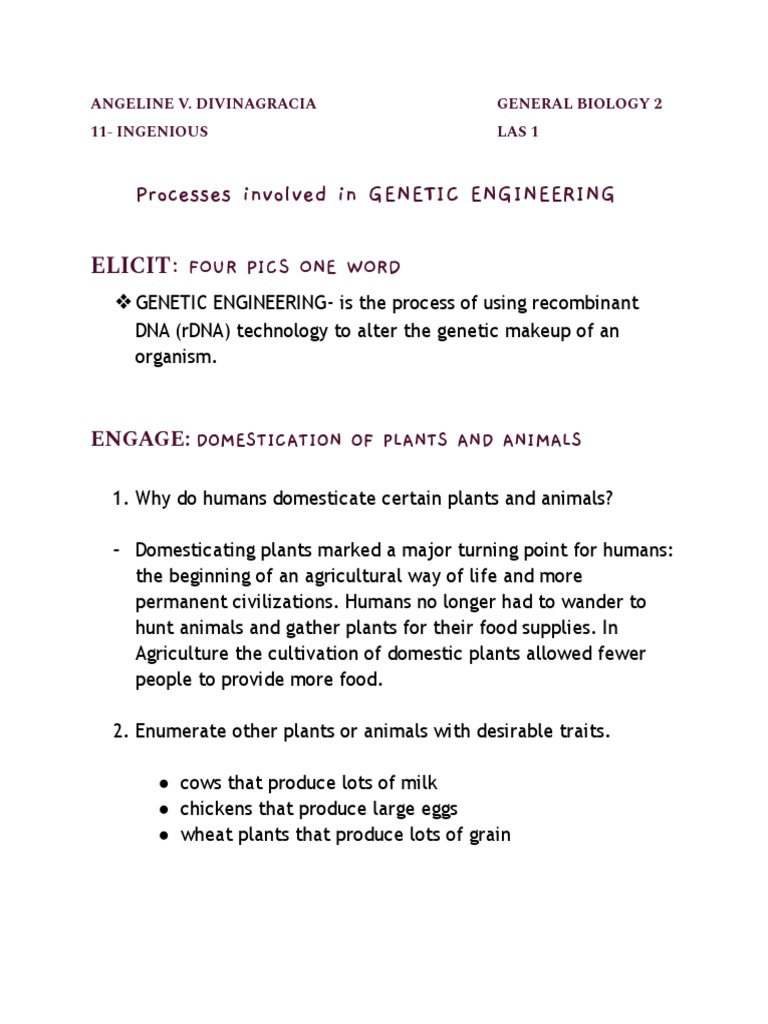 Gen Bio 2 | PDF | Plasmid | Genetics
