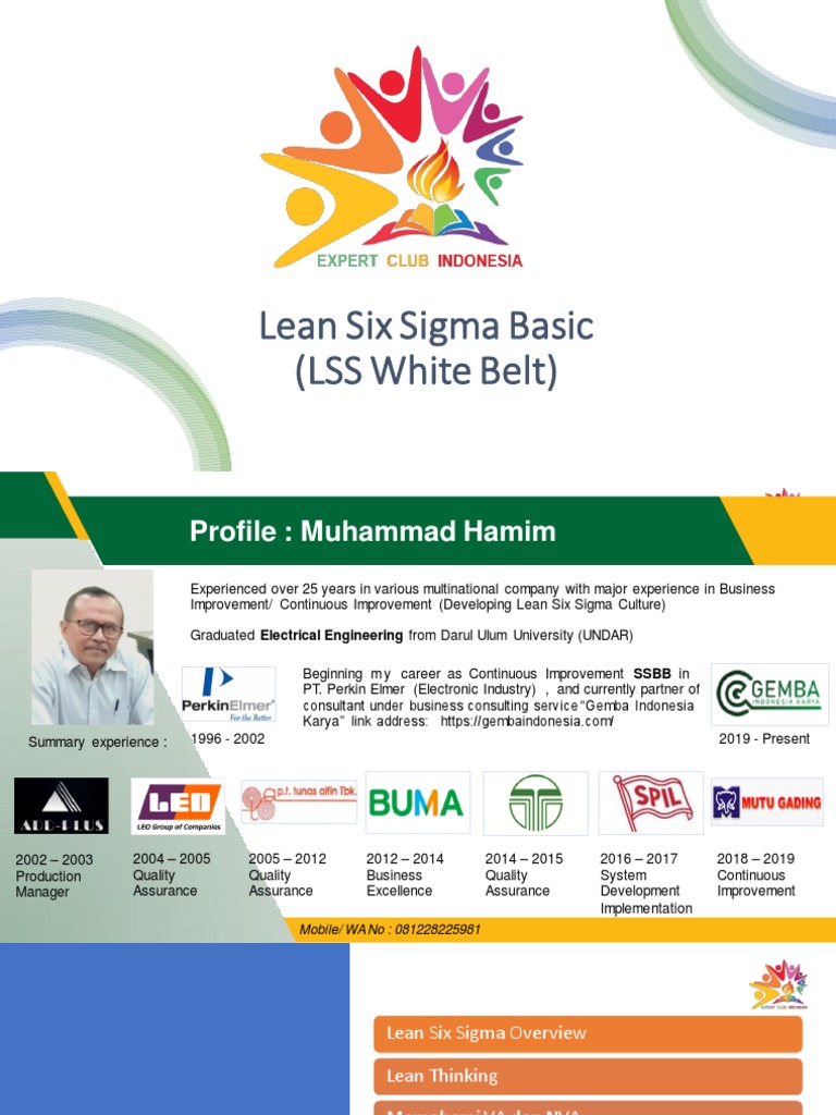 Lean Six Sigma Training Awareness For ECI | PDF