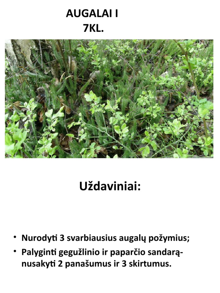 Augalai I | PDF