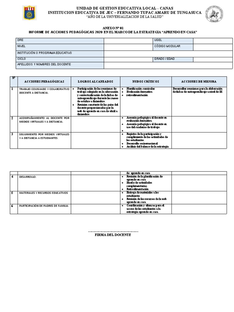 Informe de Acciones Pedagogicas 2020 Aprendo en Casa | Descargar gratis PDF | Aprendizaje ...