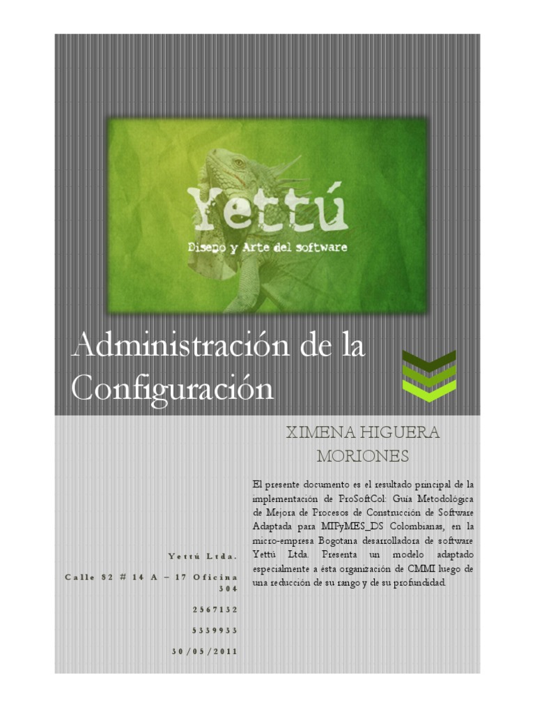 Mejora de Procesos en Yettú Ltda. | PDF | Software | Informática
