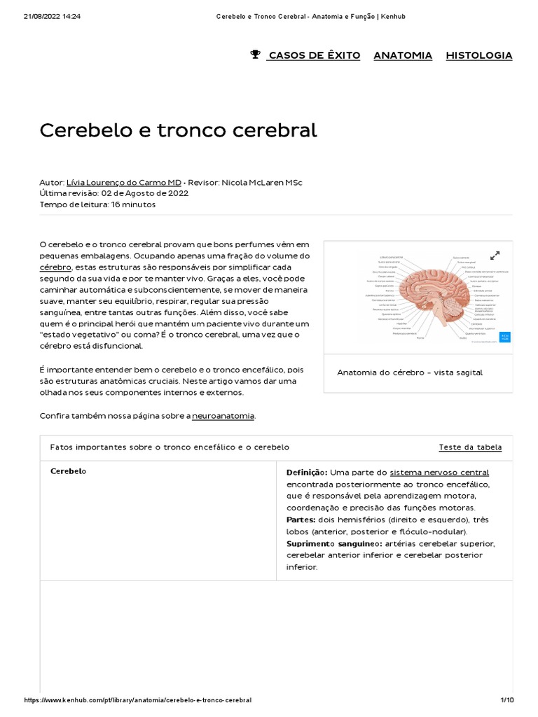 Cerebelo E Tronco Cerebral Anatomia E Função Kenhub Pdf