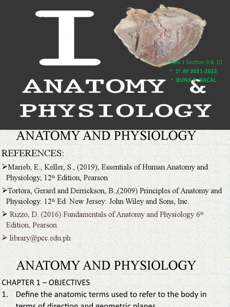 Anatomy and Physiology - 1 For Students | Descargar gratis PDF ...