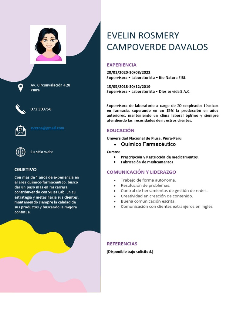 CV Funcional | PDF