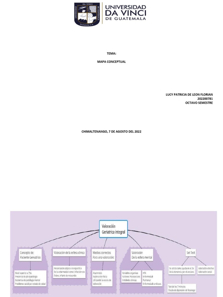 Definición de Mapa Conceptual | PDF