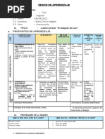 SESION Escribimos Un Afiche | PDF | Evaluación | Lingüística