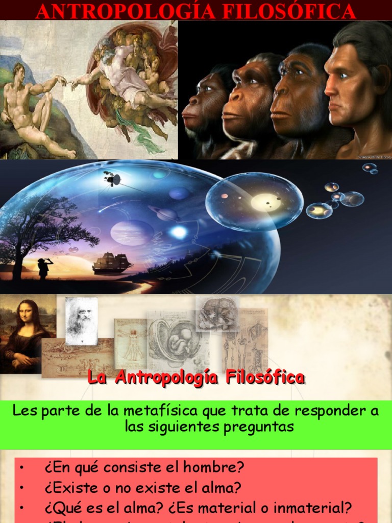 Antropologia Filosofica Quinta Semana | PDF | Tomás de Aquino | Alma