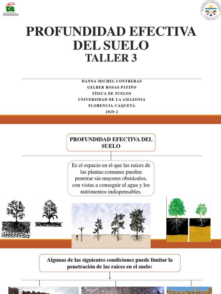 Profundidad Efectiva Del Suelo t3 | PDF