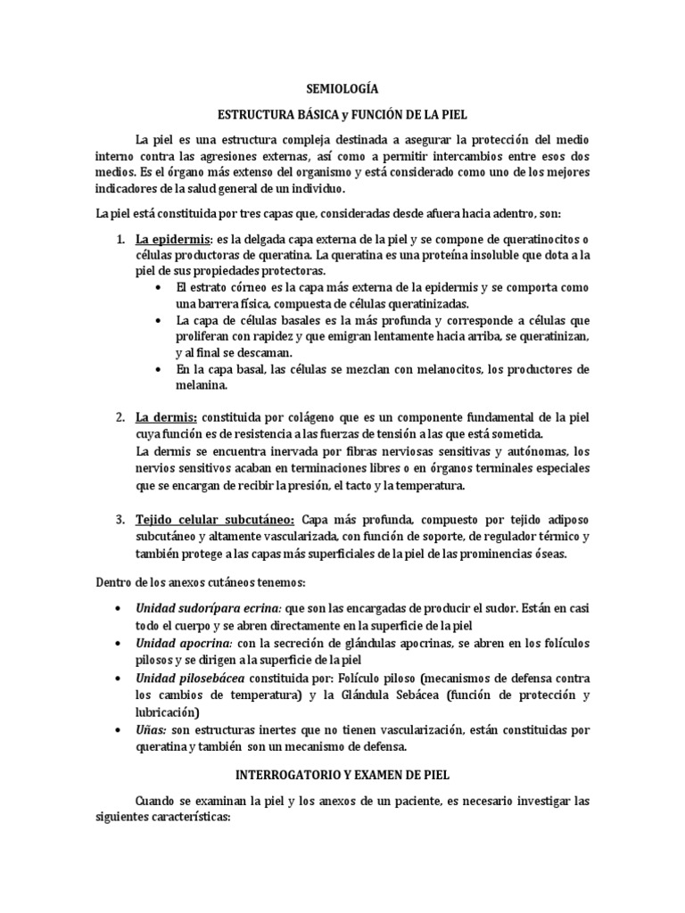 Seminario PIEL Sección 08-1 | PDF | Piel | Perdida de cabello