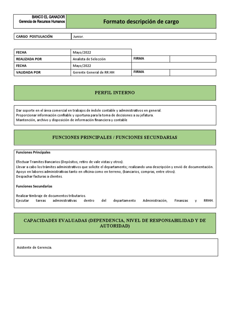 Formato Descriptor de Cargo - Junior | PDF | Contabilidad | Bancos