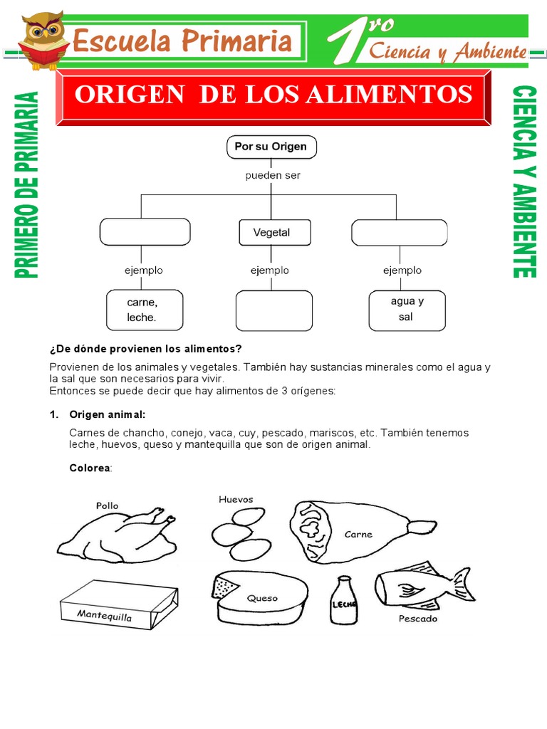 Origen de Los Alimentos | PDF | Alimentos | Vegetales