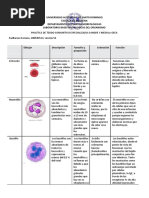 Cuadro Comparativo de Leucocitos | PDF | Leucocito | Sistema inmune