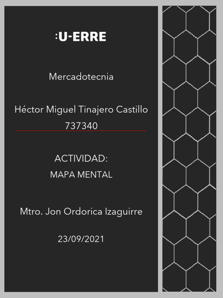 Tinajero Castillo Mapa Mental | PDF | Marketing | Producto (Negocio)