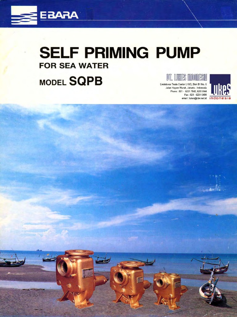 Ebara Self Priming Sea Water Pump - SQPB Bronze | PDF