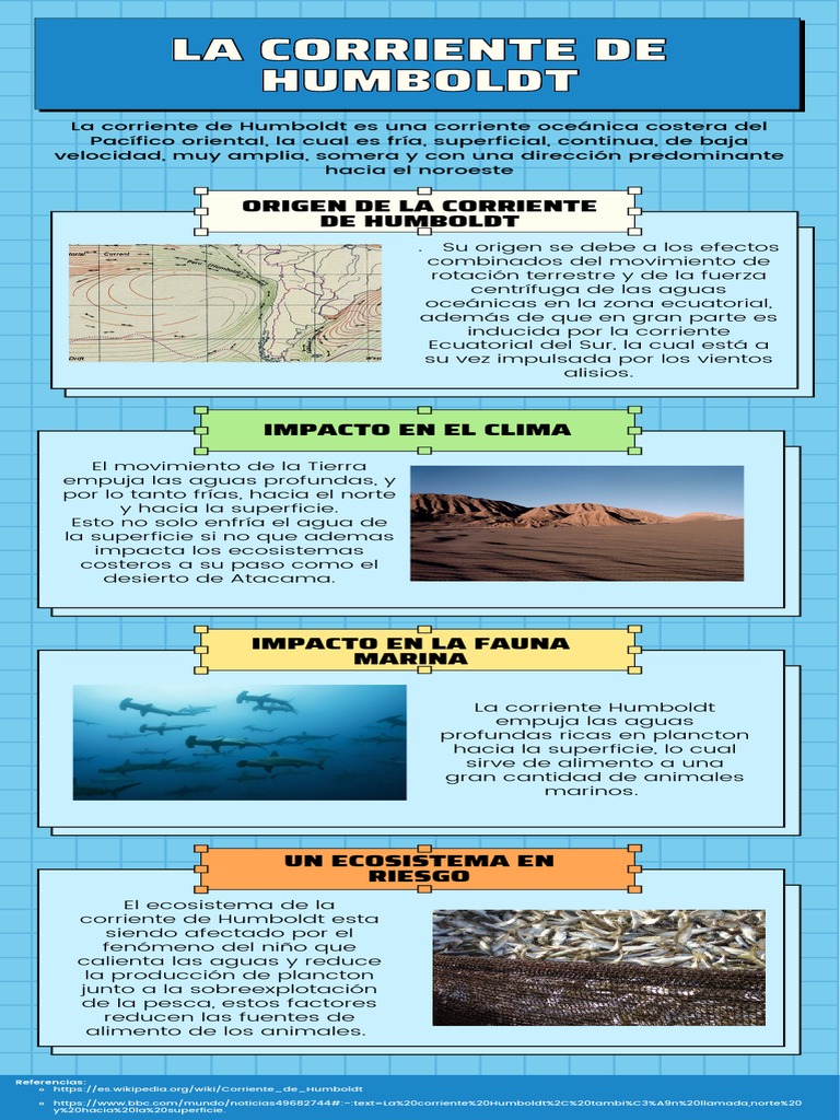 Azul Cuadros y Líneas Cuerpos de Agua Infografía de Educación | PDF ...