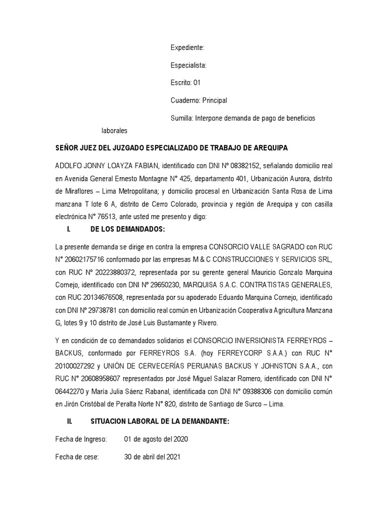 Demanda Beneficios Sociales ADOLFO LOAYZA | PDF | Salario | Derecho laboral