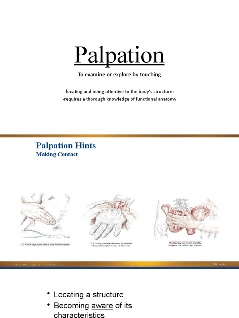 Introduction To Palpation | PDF | Finger | Mind