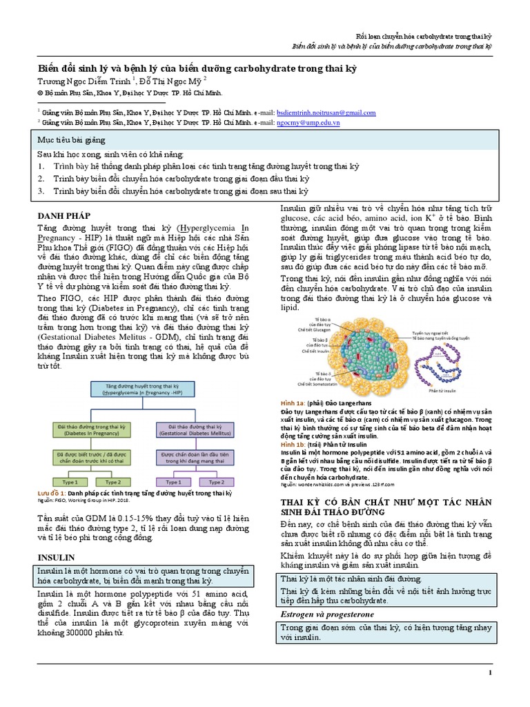 Bien - Doi - Sinh - Ly - Va - Benh - Ly - Cua - Bien - Duong - Carbohydrate - Trong - Thai - Ky ...
