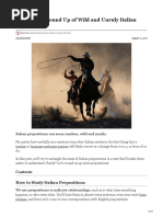 Quaderno - B2 CILS Giugno 2024 | PDF