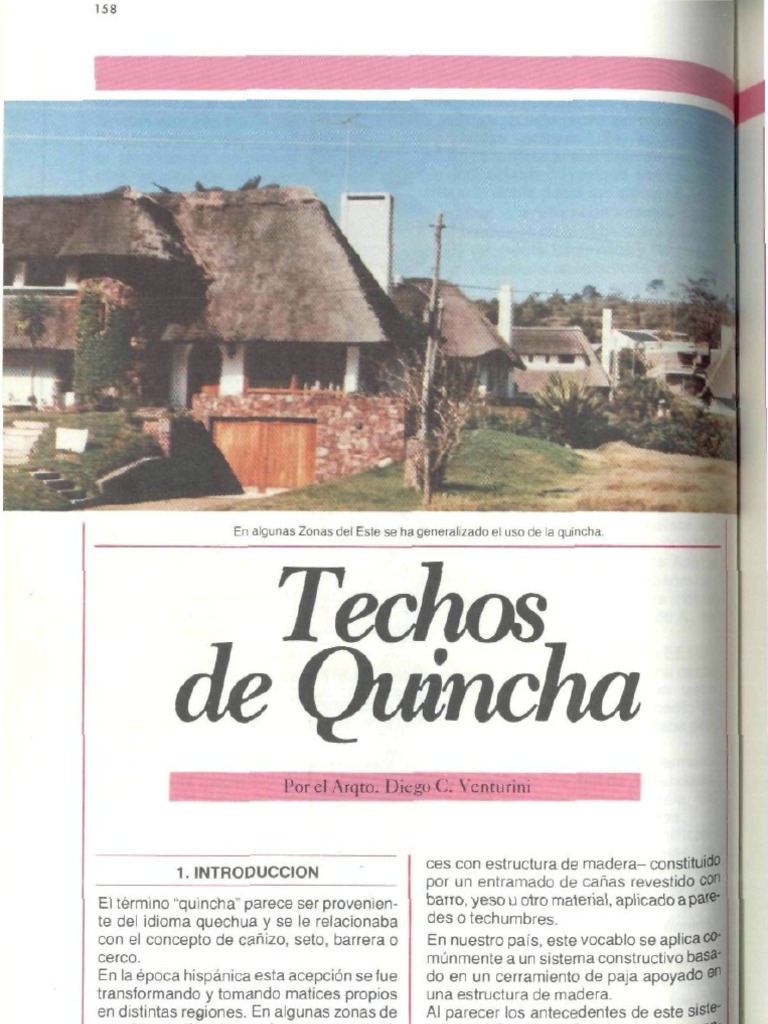 Techos de Quincha | PDF | Tallo de la planta | Ingeniería de Edificación