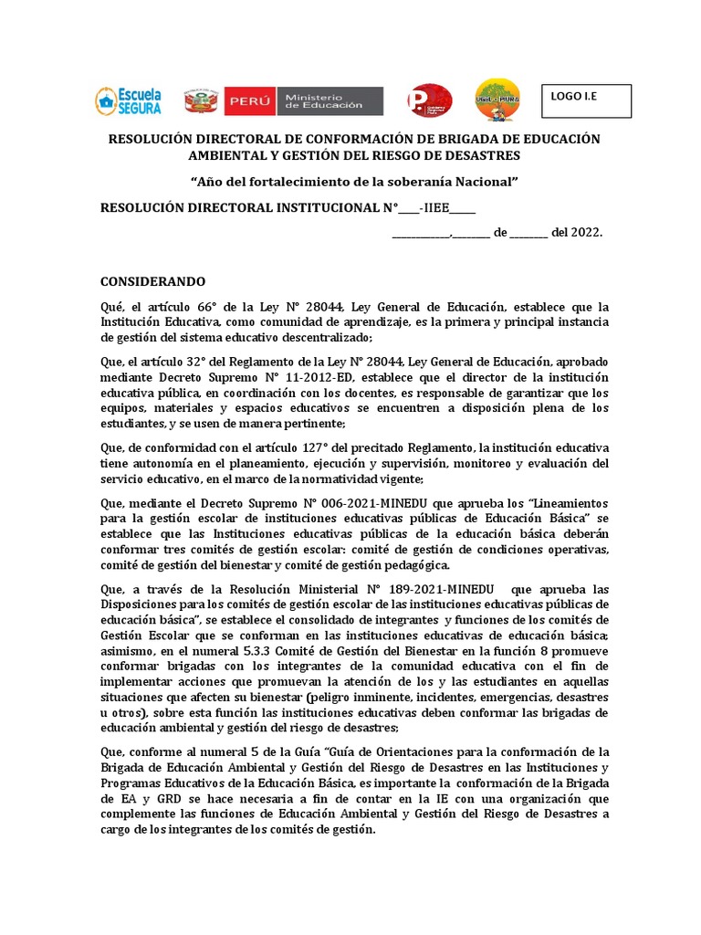 Modelo de RD Brigadas - Ugel | PDF