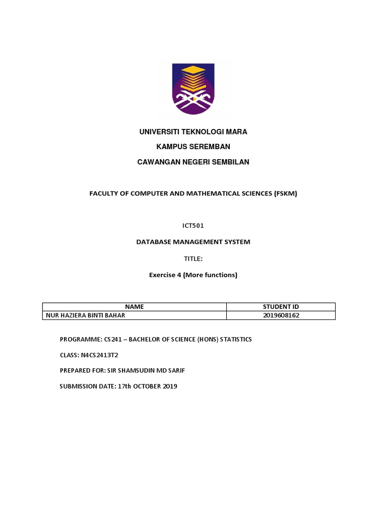ICT501 Exercise 4 More Functions | PDF