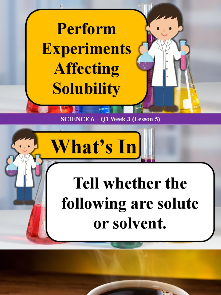 Solubility Science Experiment Guide | PDF | Solubility | Solvent