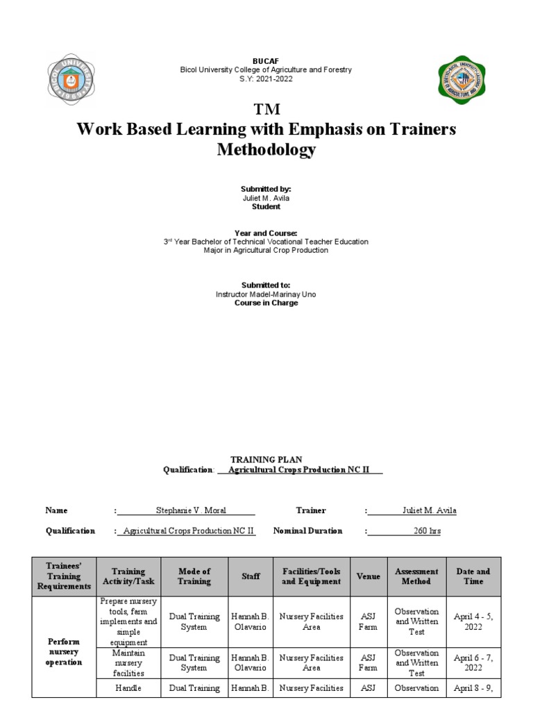 Jmavila III-btvted TM Training Plan | PDF | Food Industry | Botany
