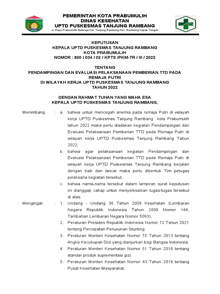 Evaluasi Pemberian TTD Remaja Putri 2022 | PDF