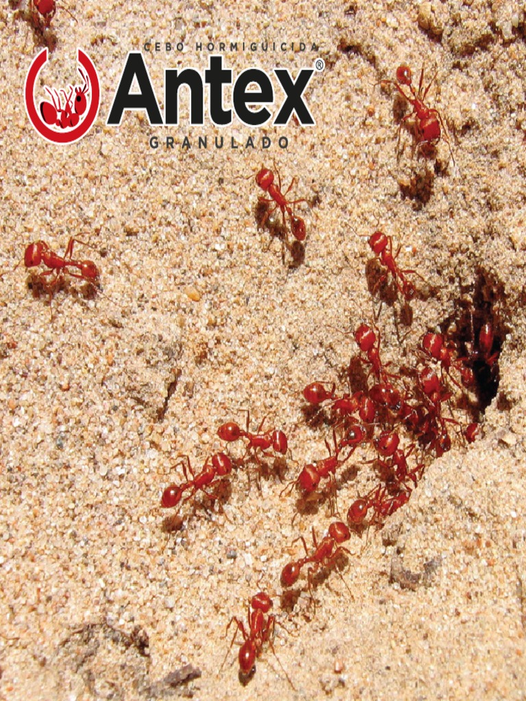 Folleto Antex Granulado | PDF | Hormiga | Alimentos