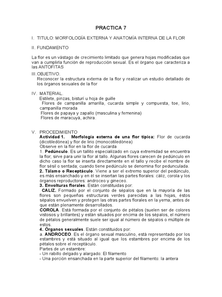 Practica 6 | PDF | Flores | Botánica
