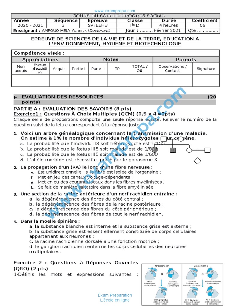 3eme Seq Svteehb TD Soir 2021 | PDF | Contraction du muscle | Nerf