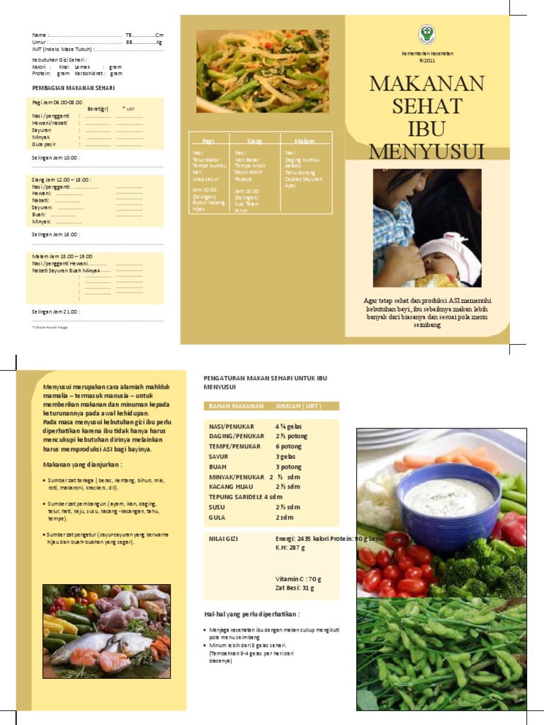 Menu Sehat Ibu Menyusui Sehari-hari | PDF