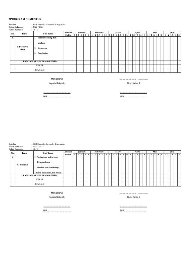 Program Semester SLB Kelas IX | PDF