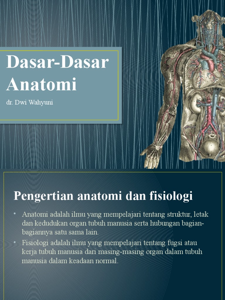 01 Dasar Dasar Anatomi Pdf